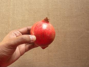 Quality detection Object Detection Dataset and Pre-Trained Model by Sliit