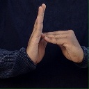 Sign Language Classifier Classification Model by dannn