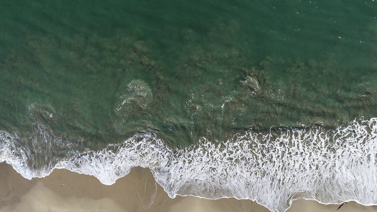 Rip_Currents Object Detection Dataset by Ripcurrent