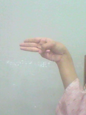 sign recognition (sign-recognition-ns4aq) - Roboflow Universe