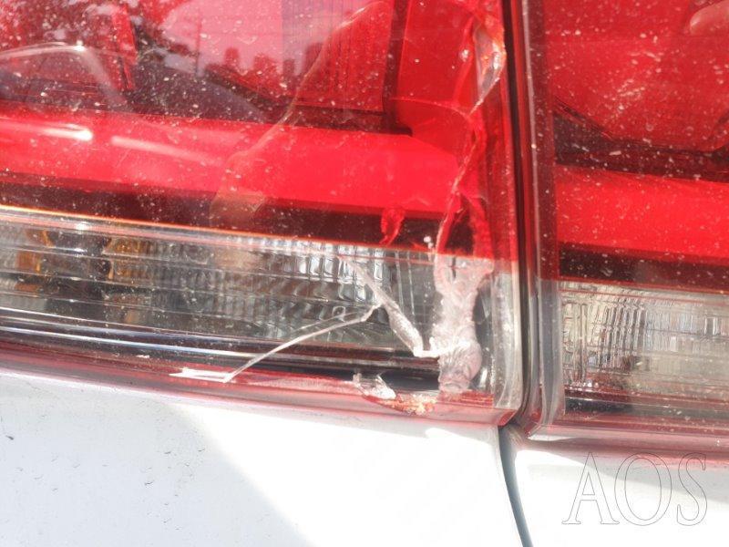 DAMAGE Instance Segmentation Dataset by mask2