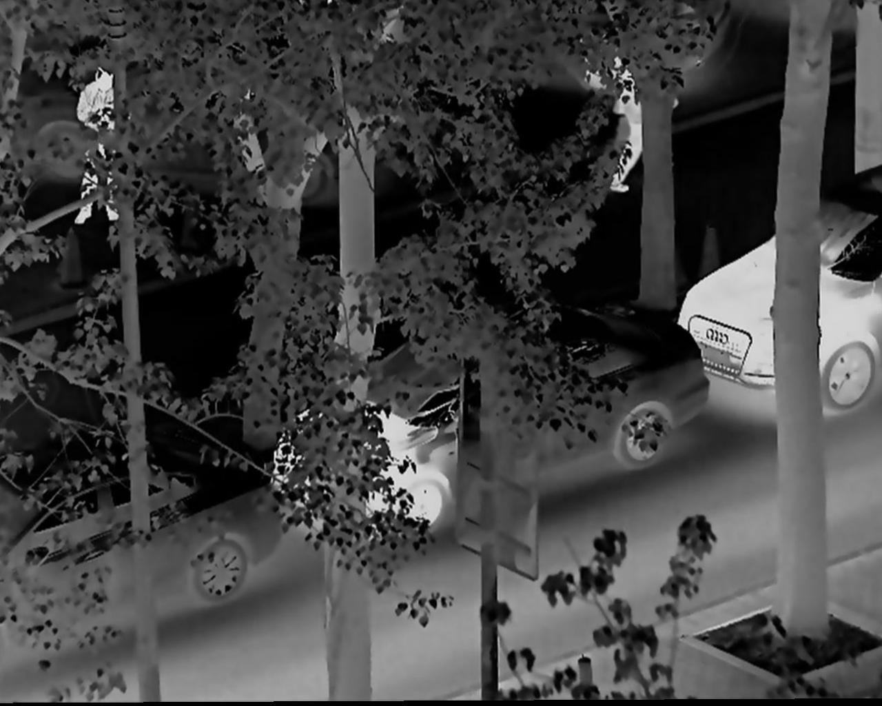 YOLOv5 Object Detection Dataset by YOLOv5LLVIP