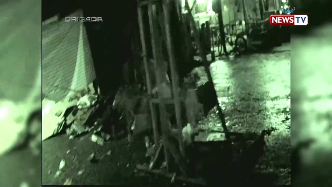 Rats Object Detection Dataset by Data Science