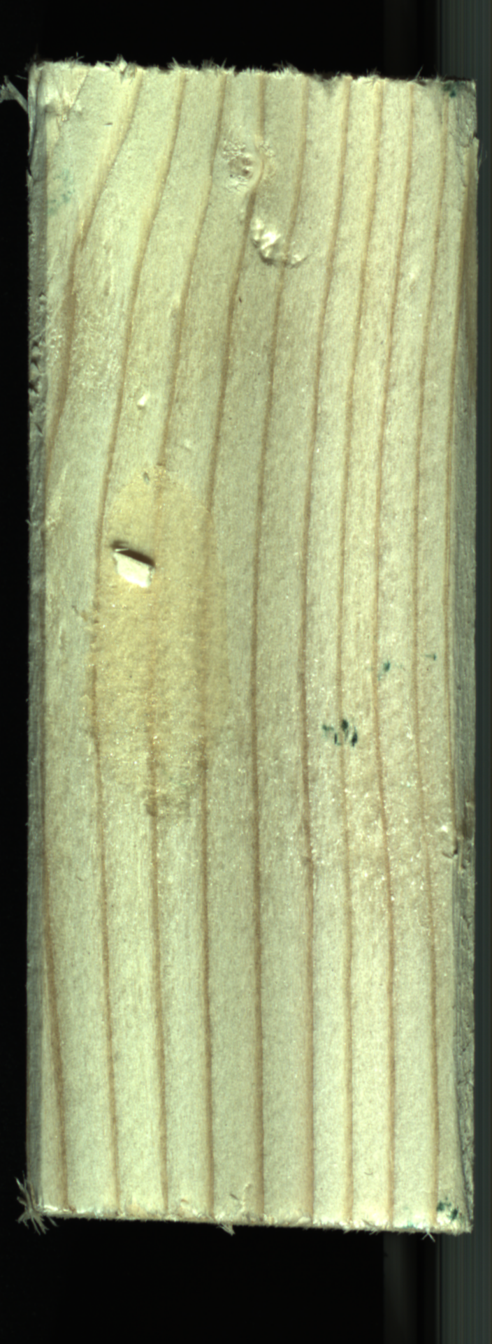 Wood Defect Detection Object Detection Model by Wood Damage Detection