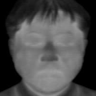 detect_image Object Detection Dataset by yolov5