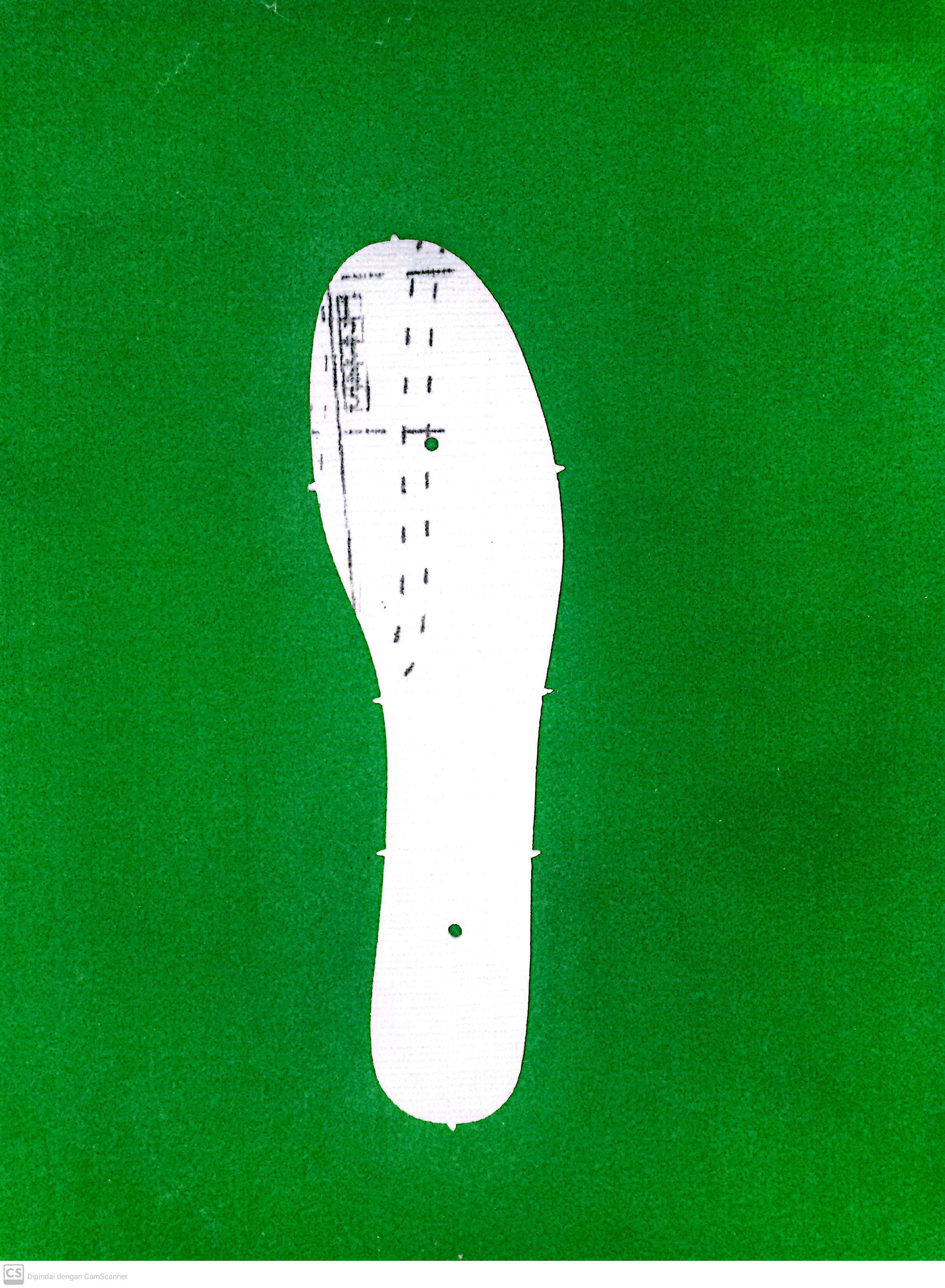 strobel-shoes Object Detection Model by subek yolo