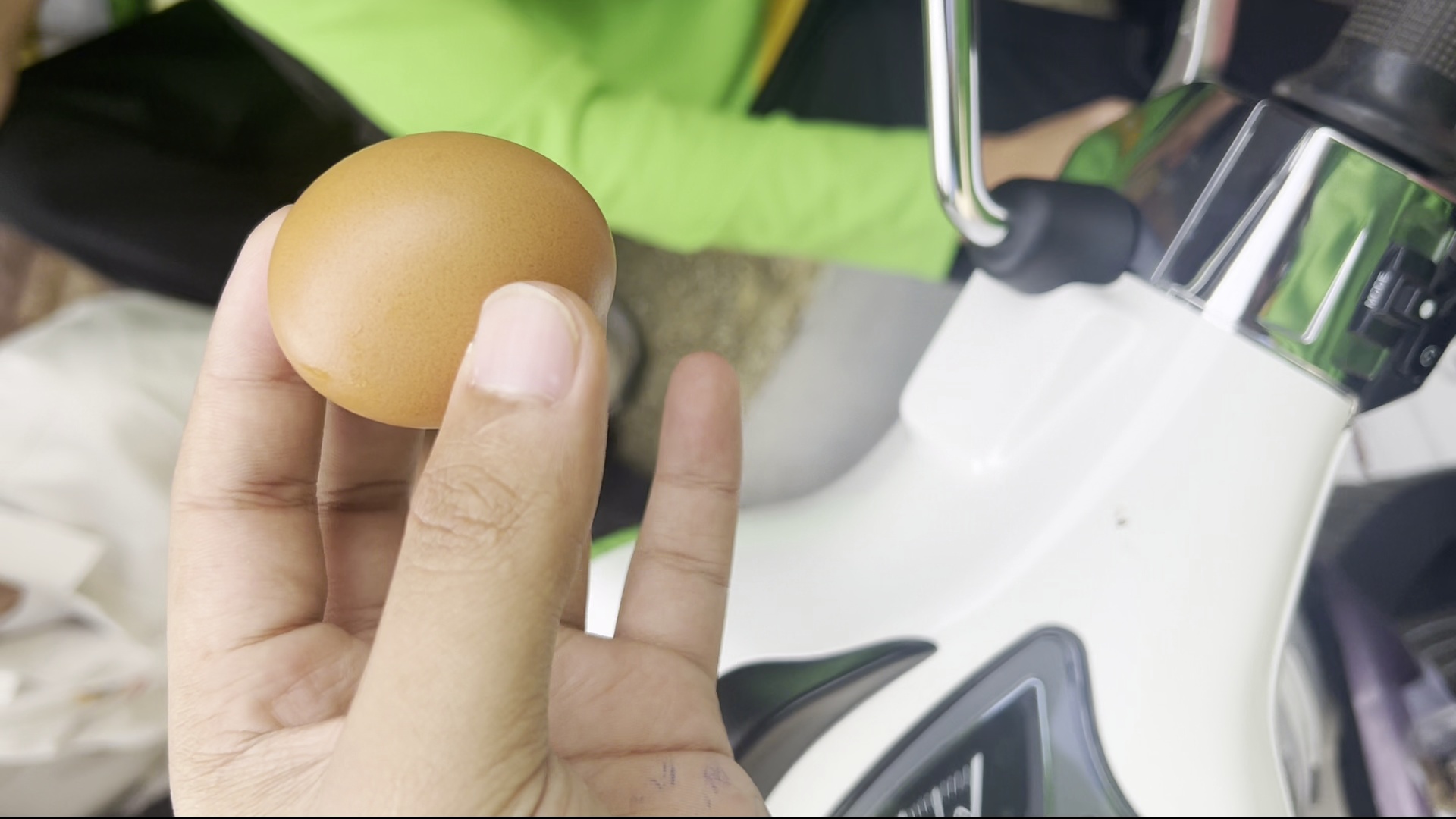 Detect Eggs Object Detection Dataset By Object Detection