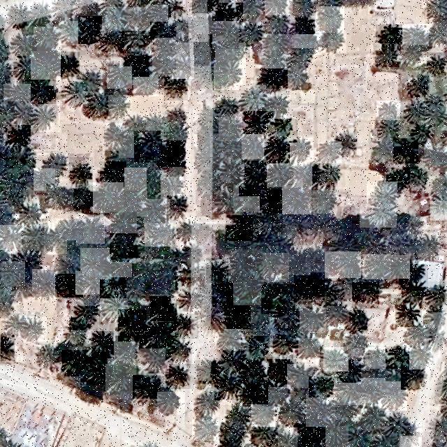 Palm Tree Detection (palm-tree-detection-rvh0v) - Roboflow Universe