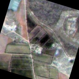 Greenhouse Object Detection Dataset by Palm Tree Detection