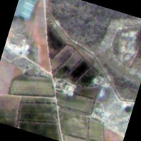 Palm Tree Detection (palm-tree-detection-rvh0v) - Roboflow Universe