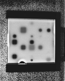 Grayscale 2 Object Detection Dataset by Andrew RoboFlow