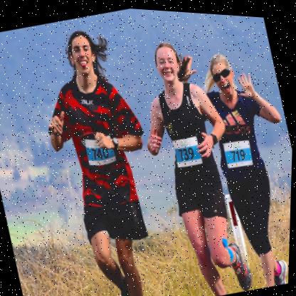 run Object Detection Dataset by runner