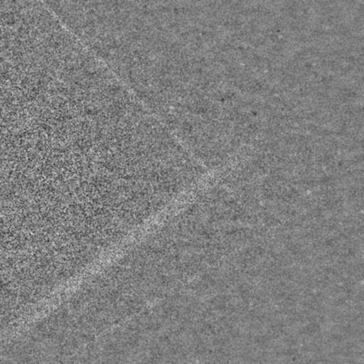 nvm Instance Segmentation Dataset and Pre-Trained Model by Universidad de Chile