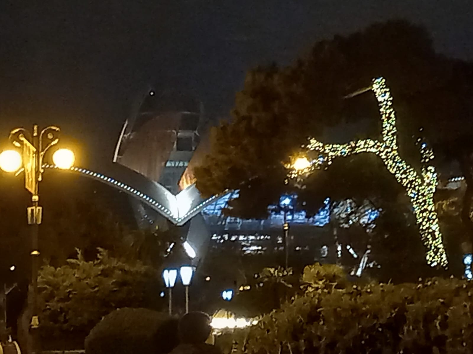 Dəniz Mall Detection Object Detection Model by ASOIU