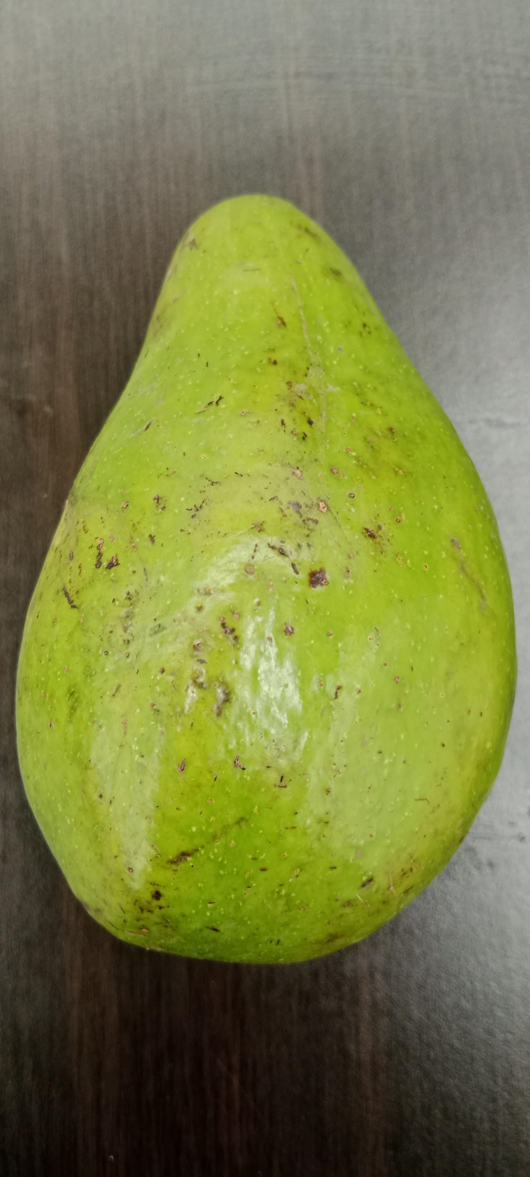 Pokat-Seg :) Instance Segmentation Dataset by SilentSign