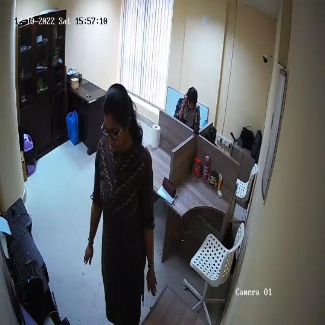 new 333 Object Detection Dataset (v1, 2024-03-11 3:15pm) by new