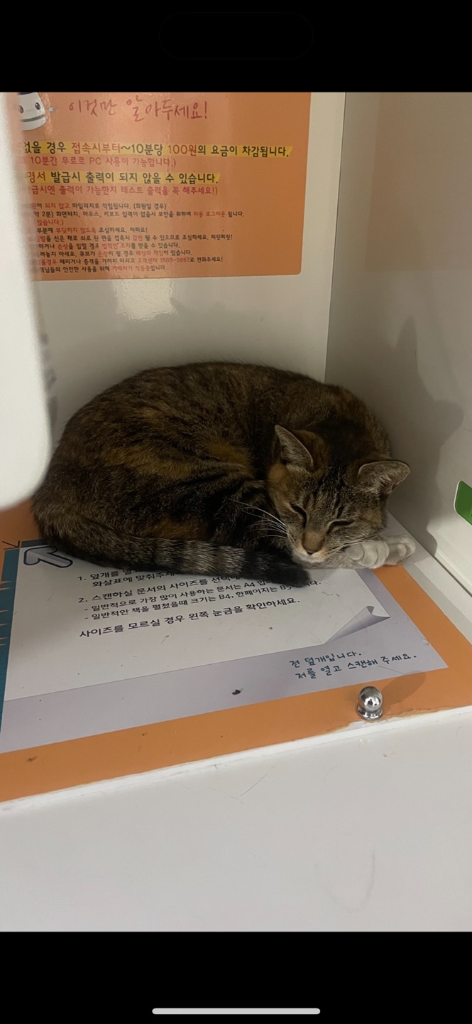 Custom Workflow Object Detection Object Detection Dataset by sy0952