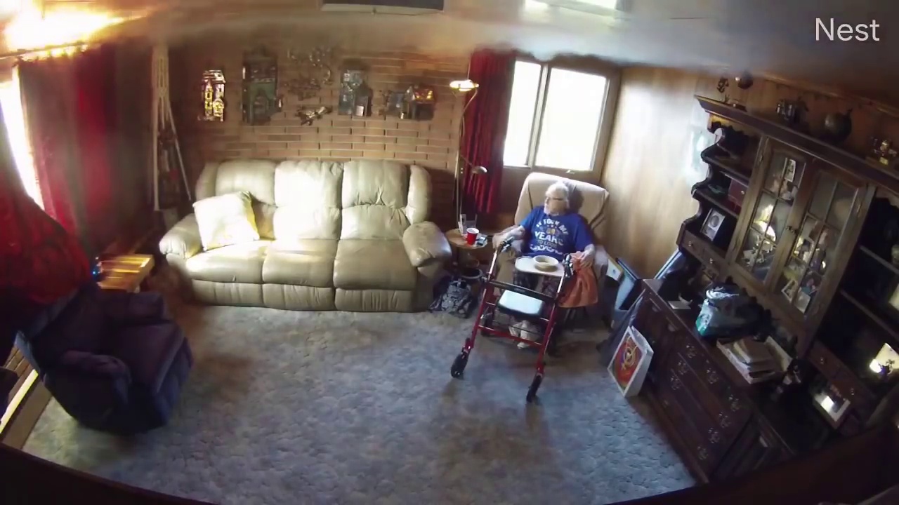 PINTEL (pintel-f4hbd) - Roboflow Universe