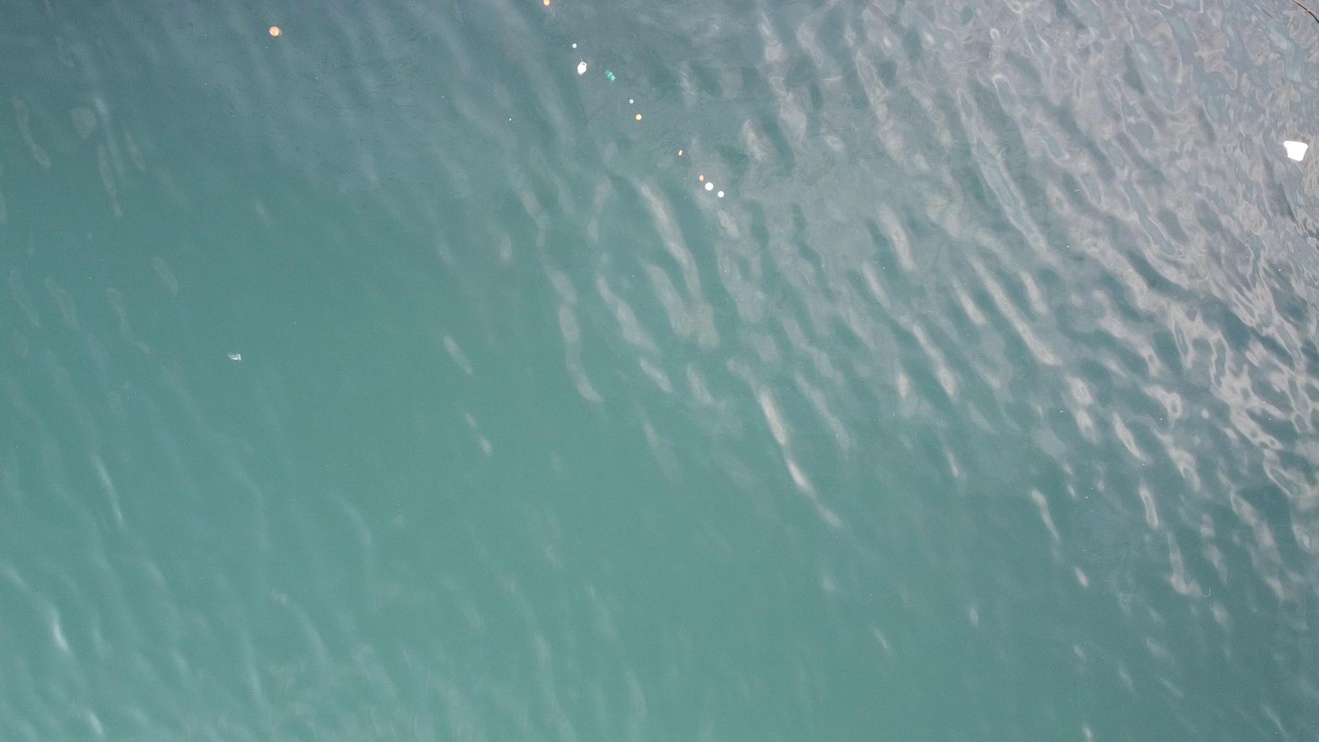 Prova Object Detection Model by Prova per velocizzare etichettatura