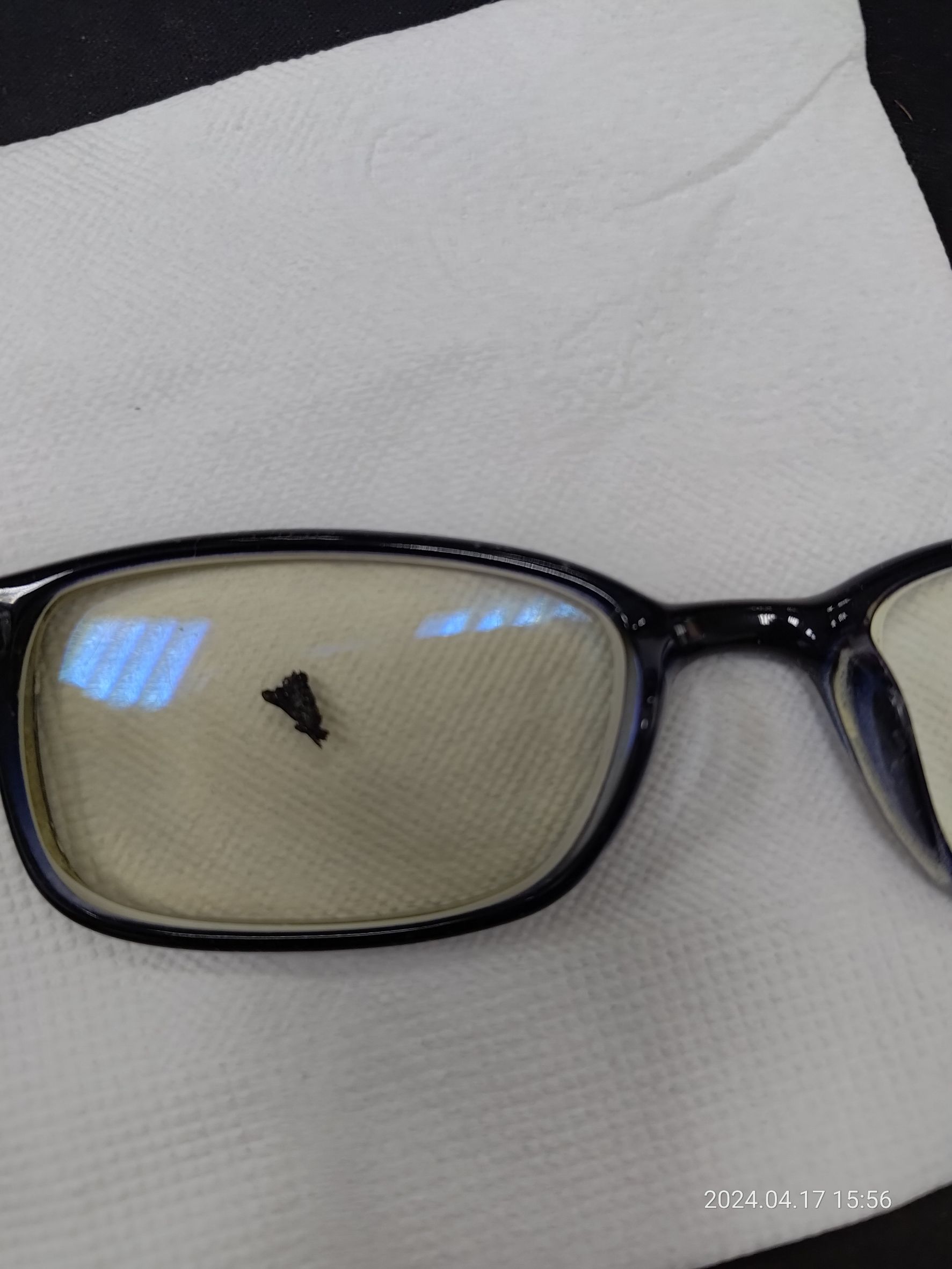 Glasses Defect Object Detection Dataset By Detection