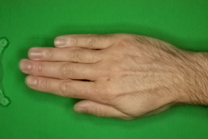 hand Classification Model by cjw