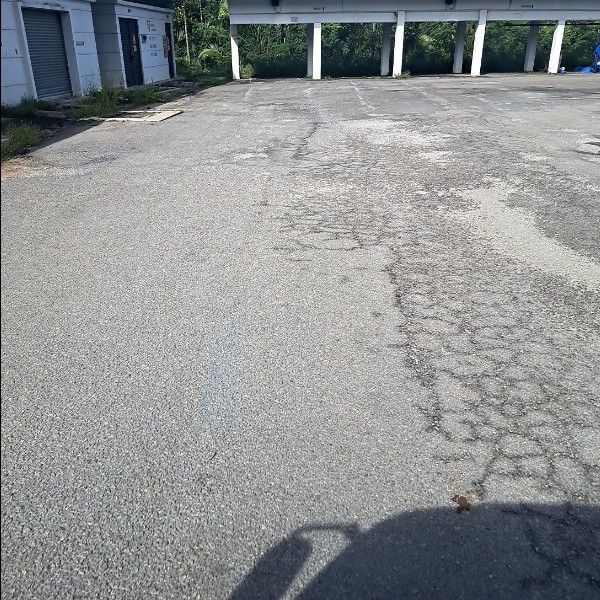 Line defect detection Instance Segmentation Model by Road Manager