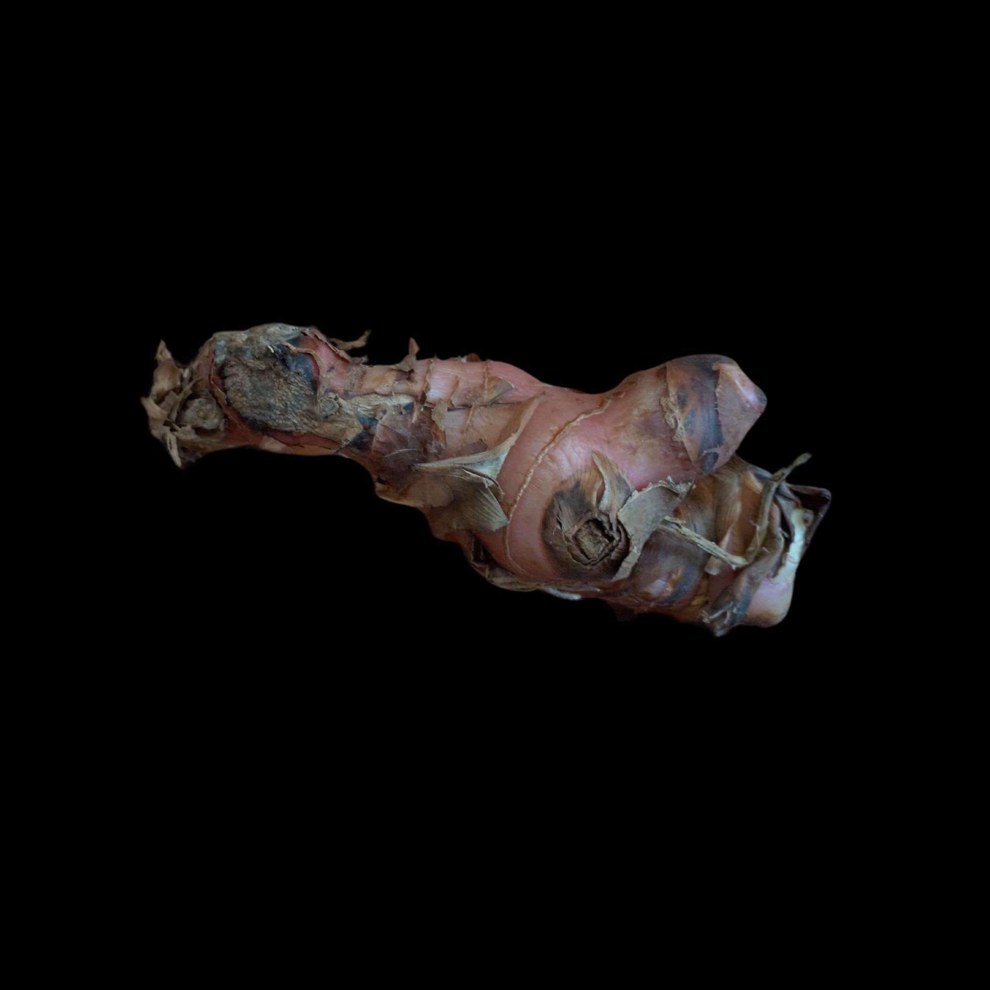 herbs 3 Object Detection Model by Labeling Usada