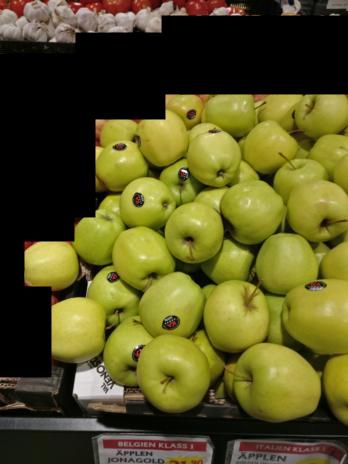 apple Object Detection Dataset and Pre-Trained Model by detect apple