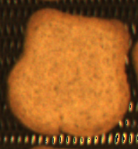 bread toast Object Detection Dataset by GEVIS SRL