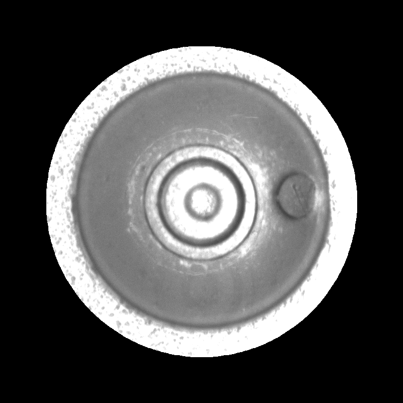 BUMPER _SINGLE_FOR_RETRAINING Instance Segmentation Dataset by GEVIS SRL