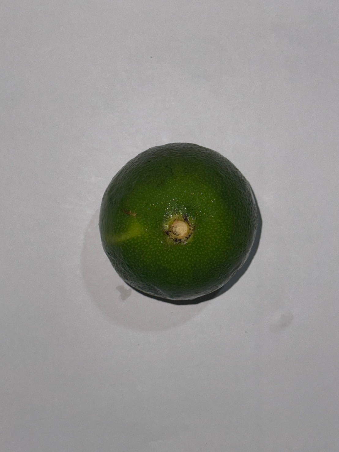 lime grading Object Detection Dataset by apple