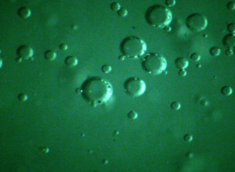 How to Use the Bubbles Finger Object Detection API