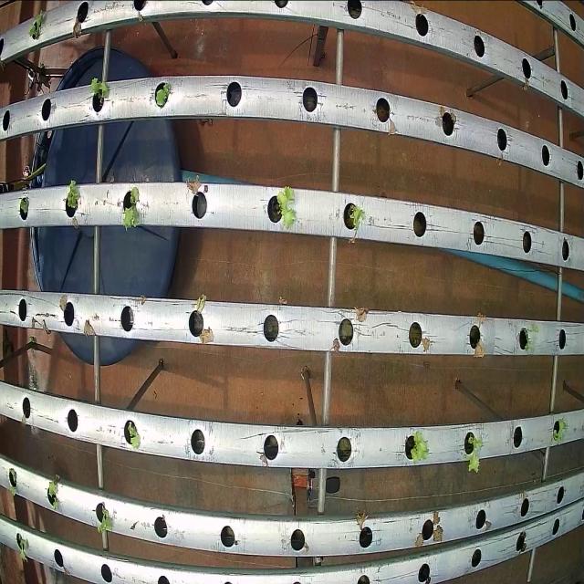 Merge Instance Segmentation Dataset by JakelineAndrade