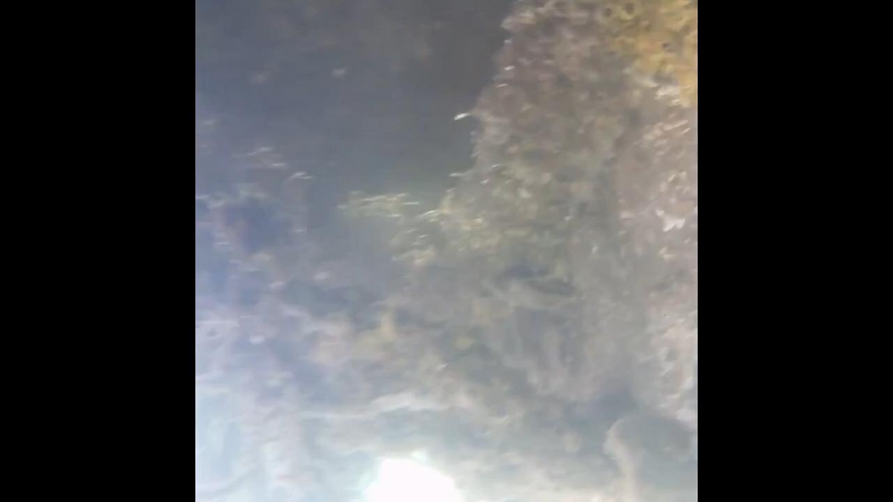 Marine growth Object Detection Model by test