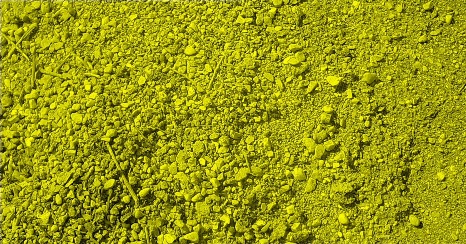 masked_ant Object Detection Dataset and Pre-Trained Model by dronedogs