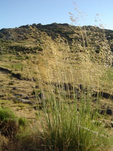 Detect And Classify Single-label Classification Classification Model by ...