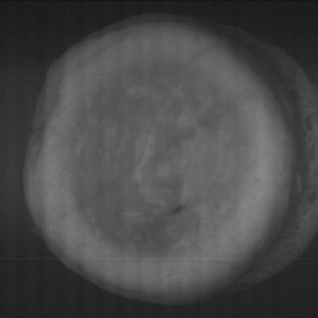 SAMLIPNEW Instance Segmentation Dataset by xz