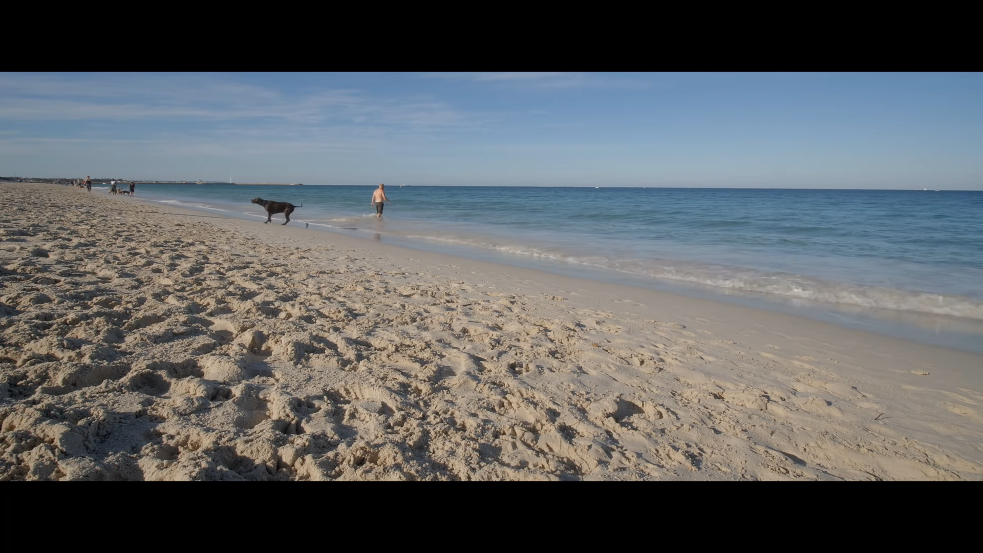 Mscoco Object Detection Dataset By Seoul