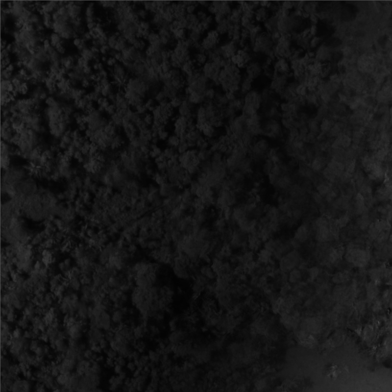 Palm Object Detection Model by Andrew Shen