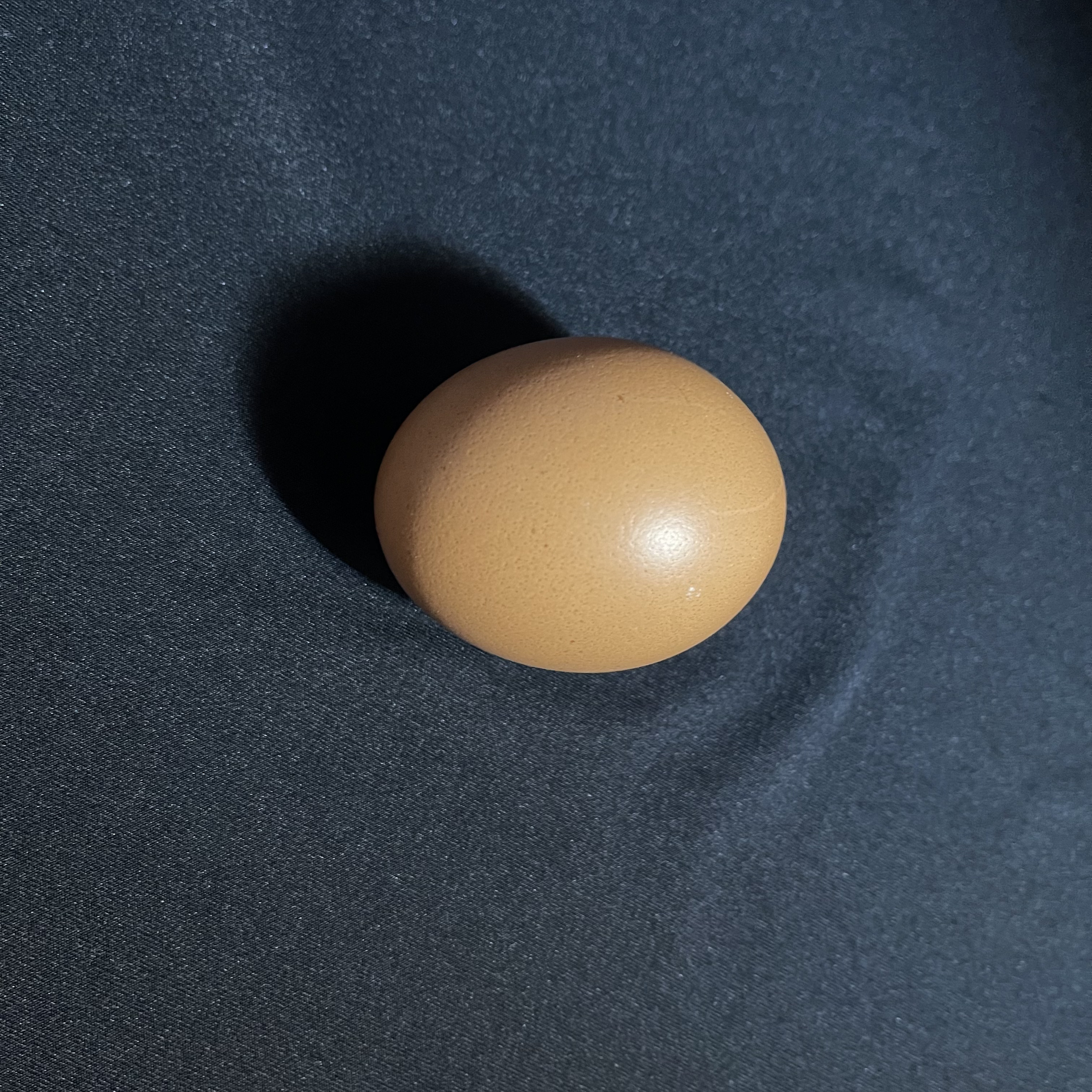 EGG DETECTION UAS PCB Object Detection Model by bme