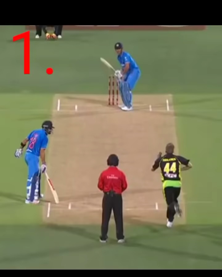 Bat Detection11 Object Detection Model By Madhu