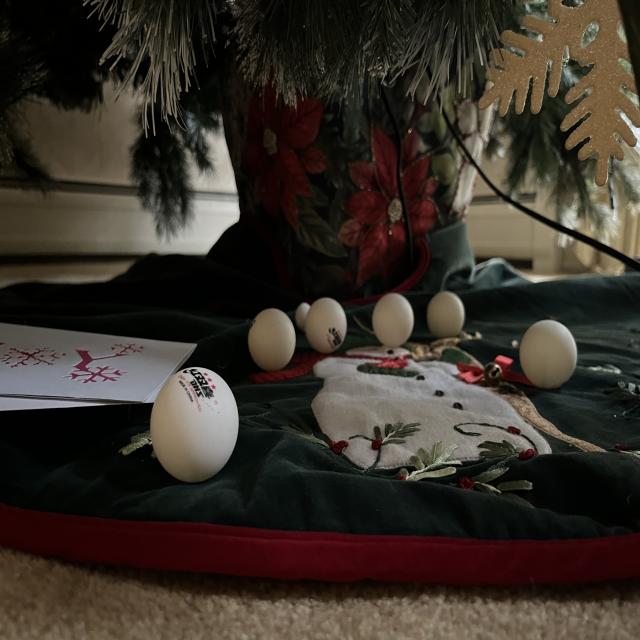 Ping Pong ball detection Object Detection Dataset and Pre-Trained Model ...