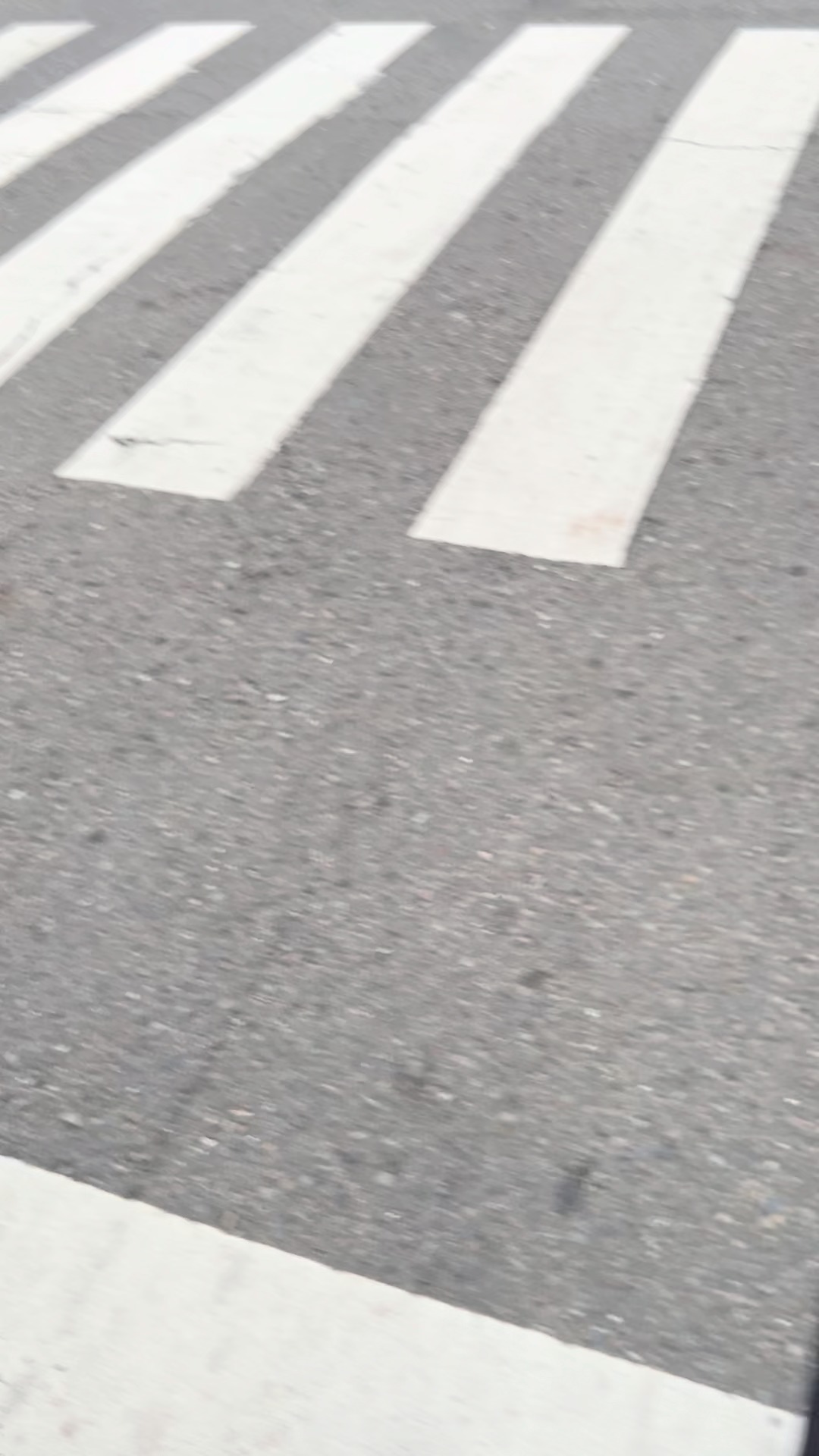 zebra crossing Object Detection Dataset by zebra crossing