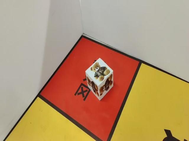 Polywin Object Detection Dataset And Pre Trained Model By The Hong Kong Polytechnic University