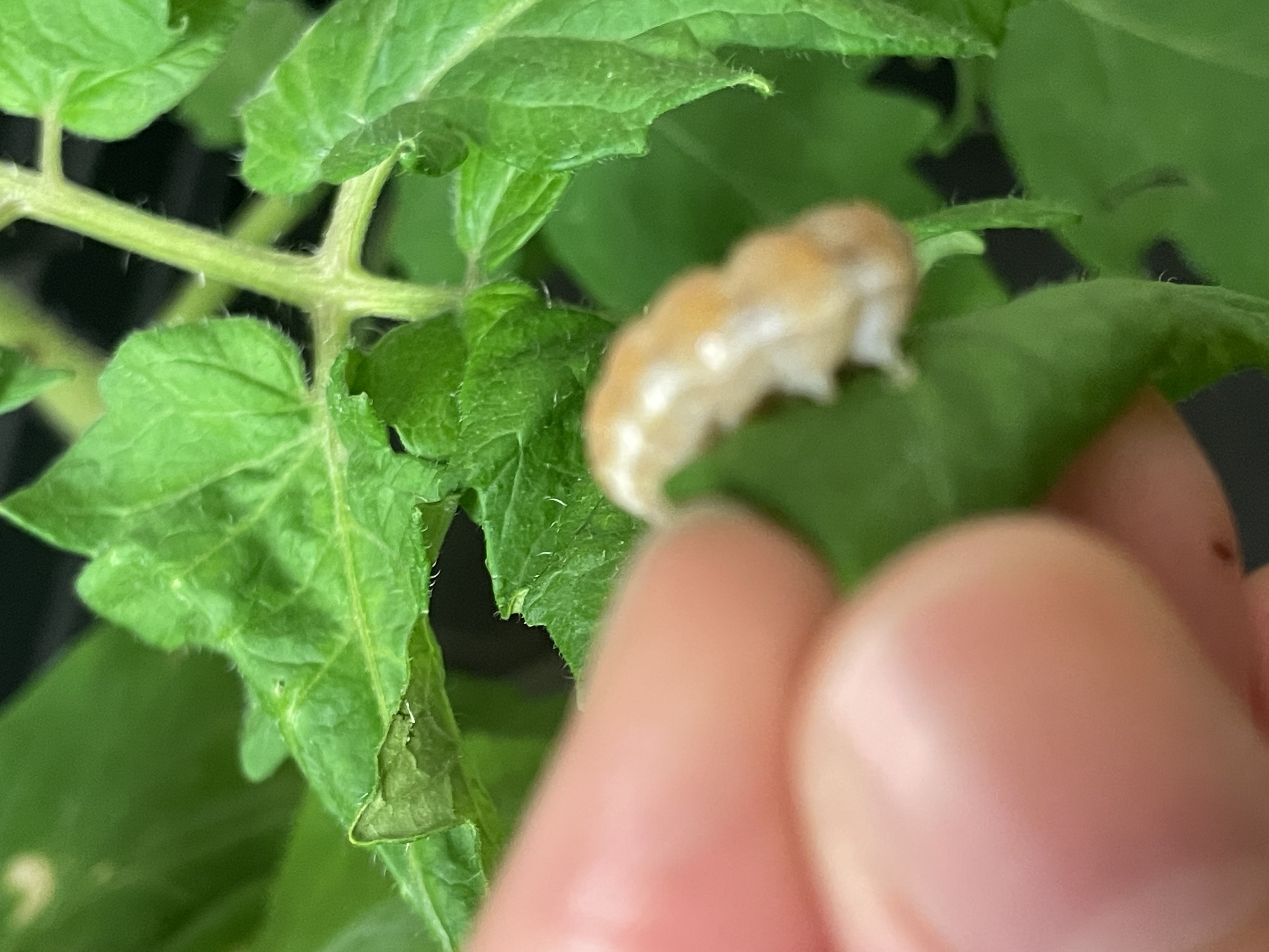 Tech and AI (tech-and-ai-n4ctg) - Roboflow Universe