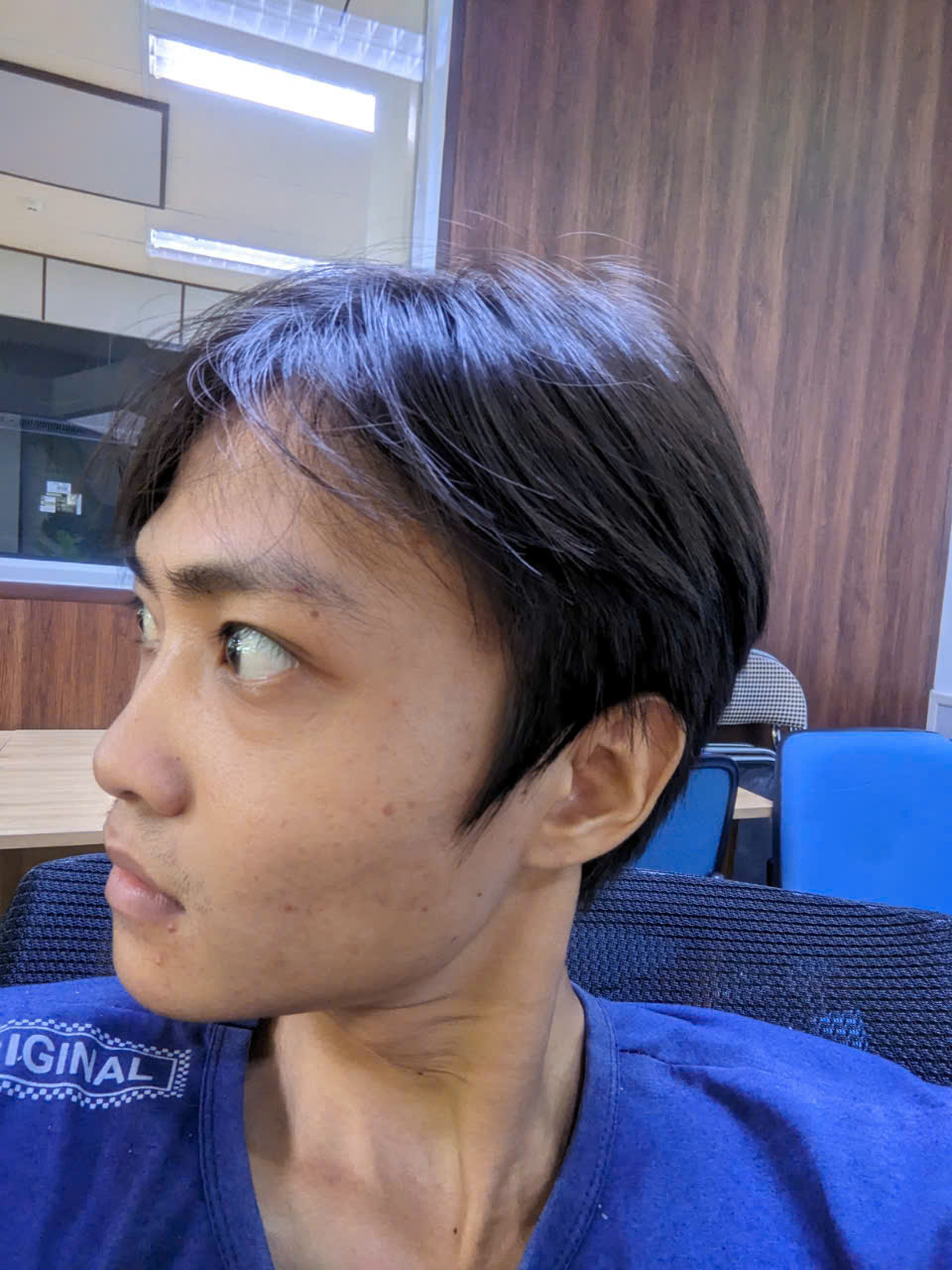 train Object Detection Dataset and Pre-Trained Model by khai