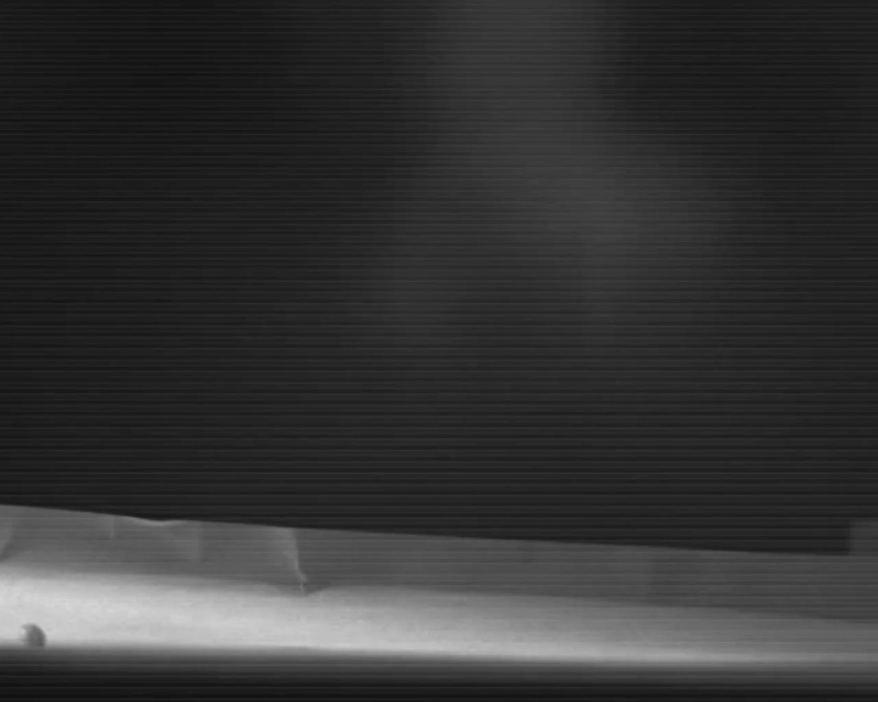 worm_seg Instance Segmentation Dataset by wormdetect