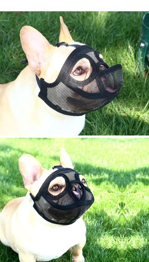 dog muzzle Object Detection Dataset by dogmuzzledetection