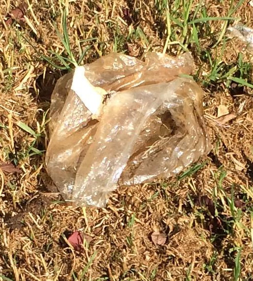 waste detection (waste-detection-cia65) - Roboflow Universe