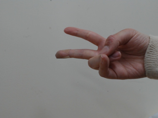 rock-paper-scissor Object Detection Dataset by SKKU AI Education